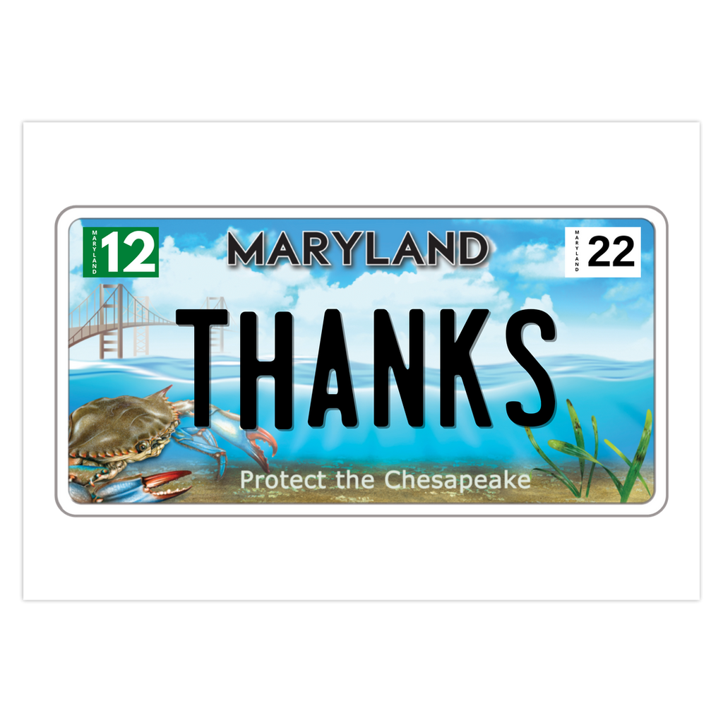 Thanks Bay Plate Greeting Cards – The Chesapeake Bay Trust